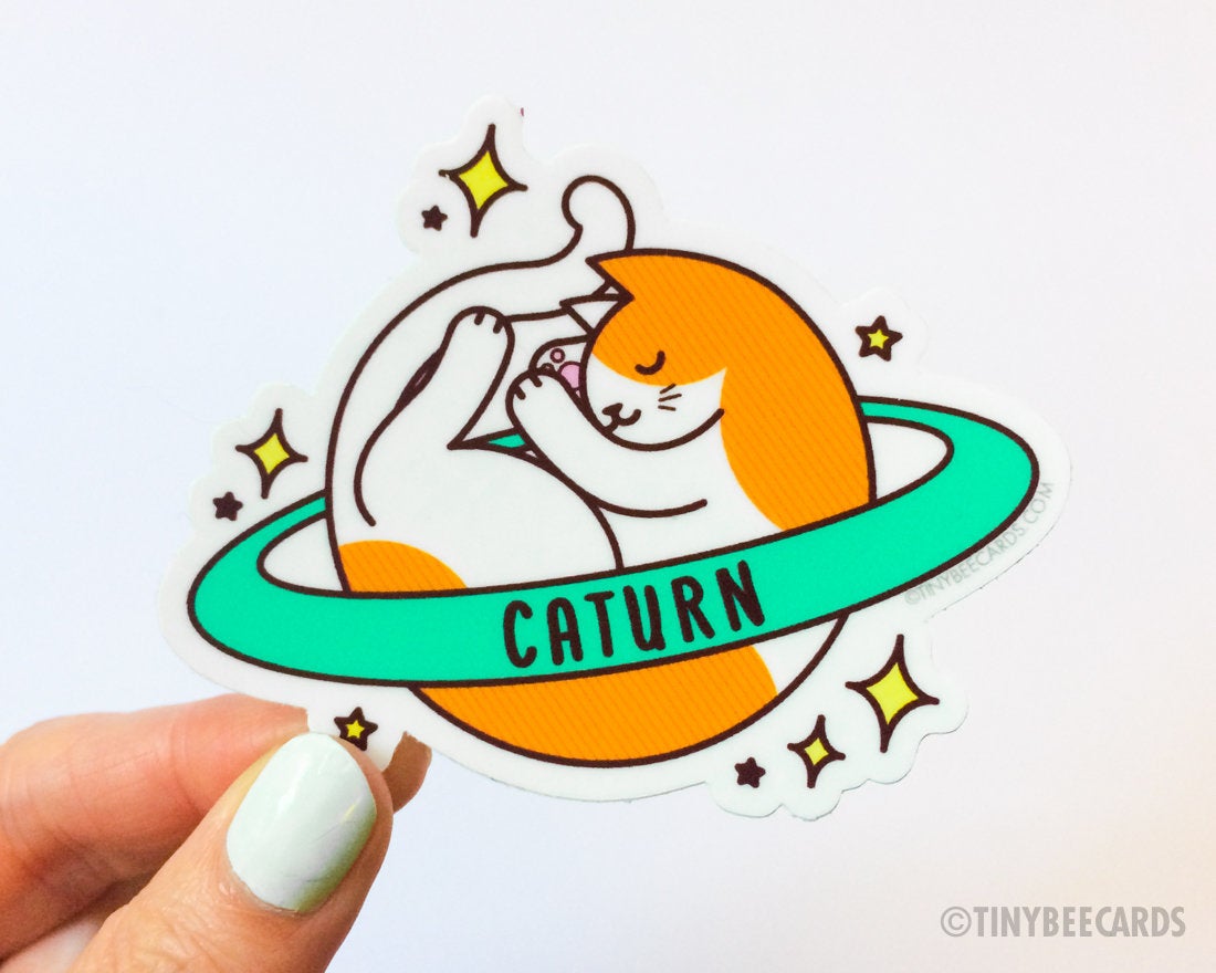 Cute Cosmic Cat Vinyl Sticker "Caturn" – TinyBeeCards